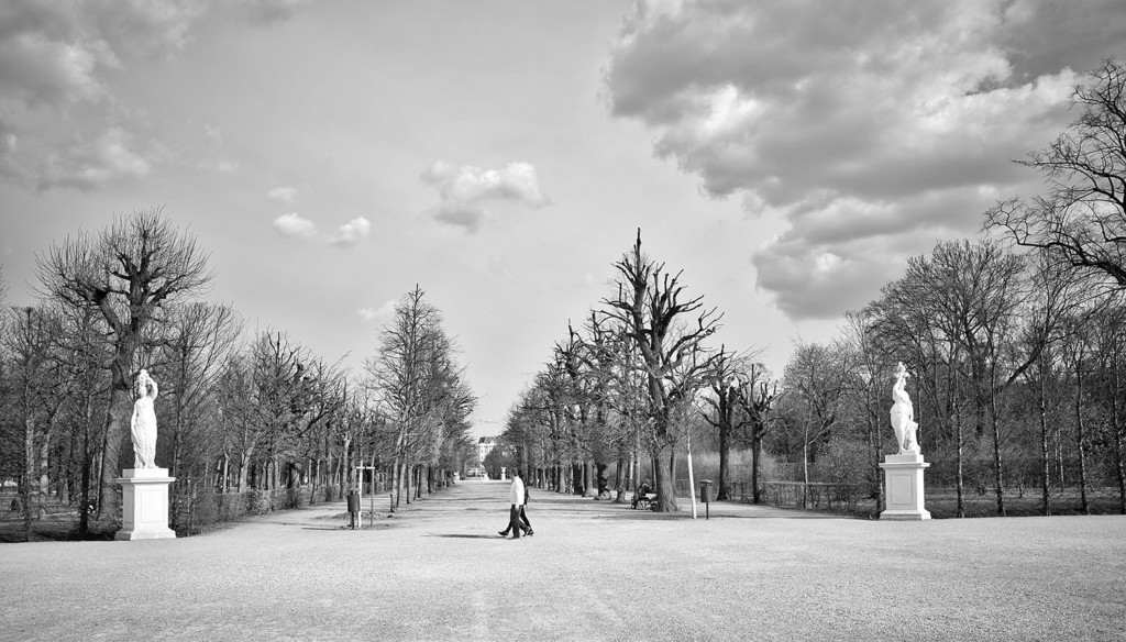 2017 04 05 A WALK IN THE PARK Heyyouphoto 2017 04 05 A WALK IN THE PARK Heyyouphoto
