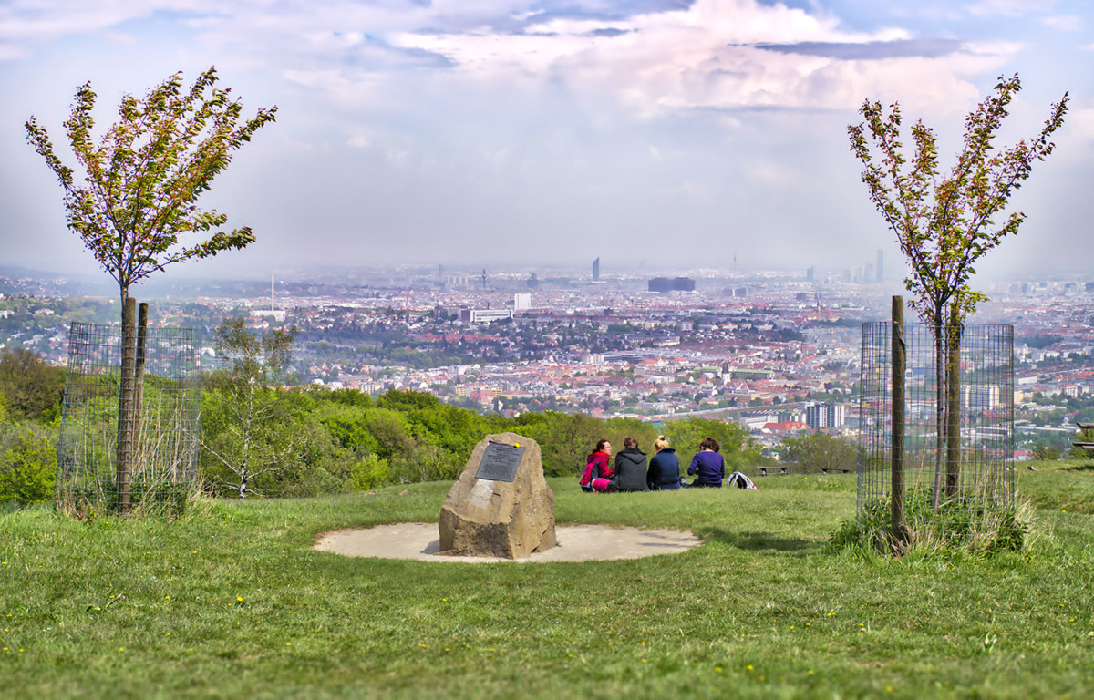 2017-05-31 NATURAL OBSERVATION DECK - heyyouphoto.com