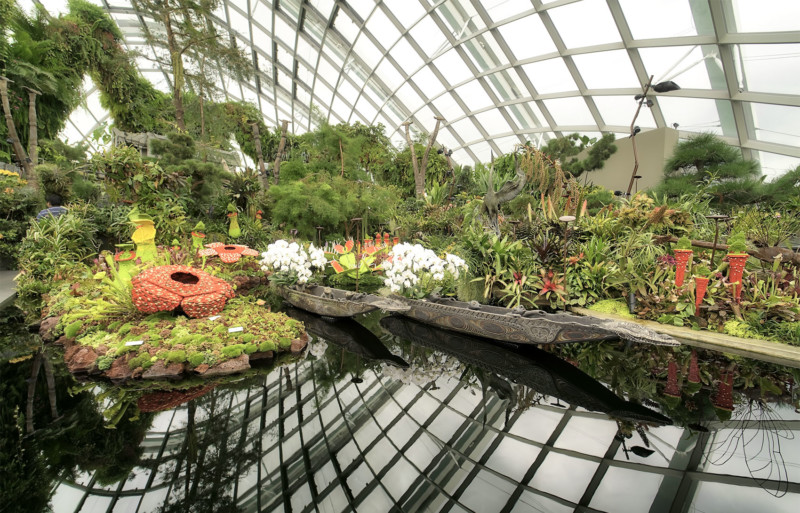 2018-07-20 FLOWERS IN THE FLOWER DOME SINGAPORE - heyyouphoto.com