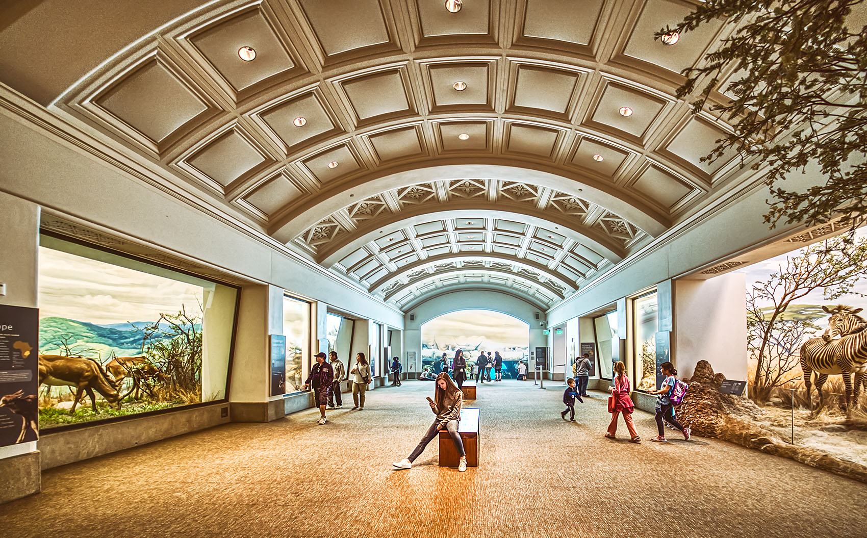 2020-03-09 MUSEUM IN SAN FRANCISCO - heyyouphoto.com