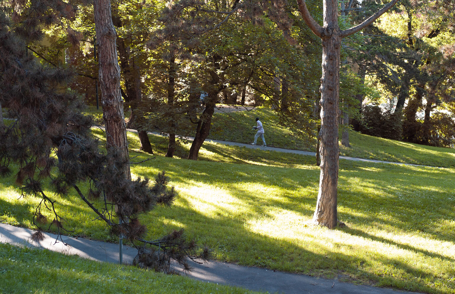 heyyouphoto.com - The world through the eye of a photographer